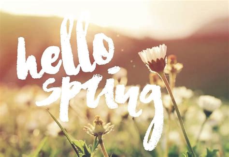 Hello Spring Pictures Photos And Images For Facebook Tumblr Pinterest And Twitter