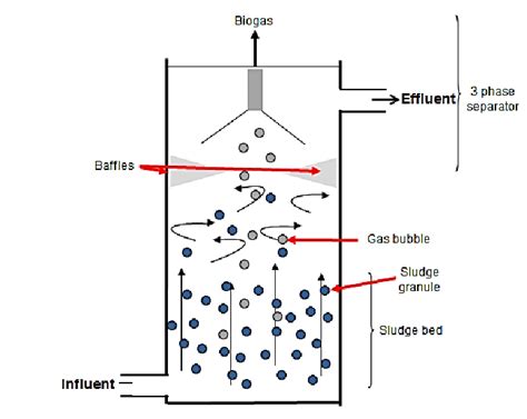 Uasb Reactor