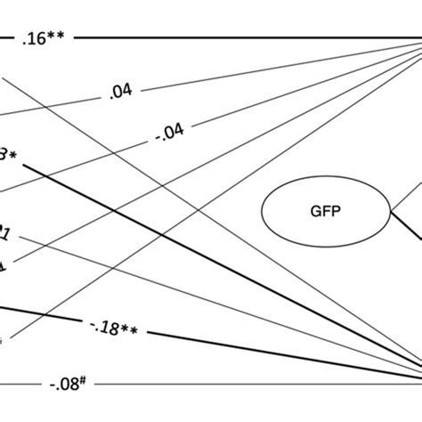 A Bi Factor Model Of The Higher Order Effects Of The General Factor Of Download Scientific