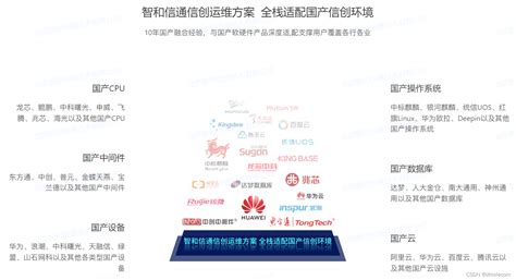自动化运维，国产化信创替代方案信创替代工作总体规划 Csdn博客