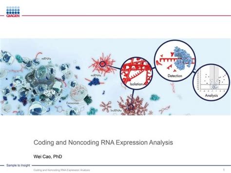 Introduction Of Rt Pcr Ppt