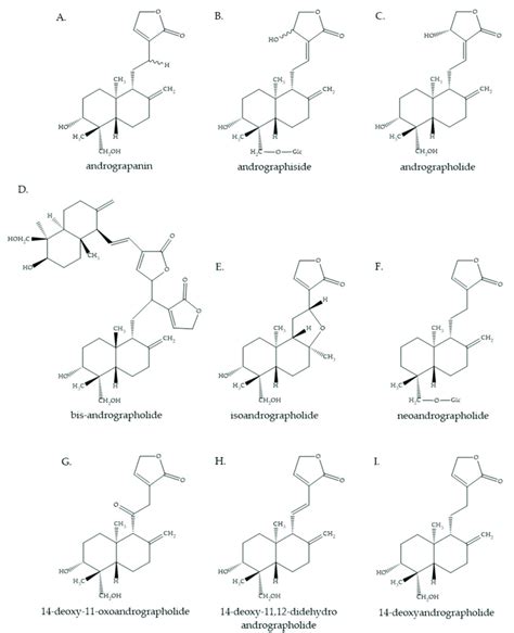 Some Of The Chemical Constituents Of Andrographis Paniculata A Download Scientific Diagram