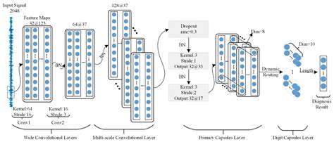 Applied Sciences Free Full Text A Novel Capsule Network Based On Wide Convolution And Multi