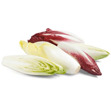 Chicories Buy Bc