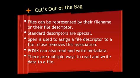 Reading And Writing Files With Posix Youtube