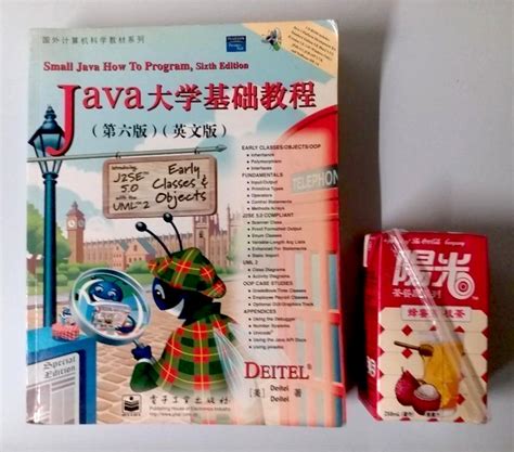 舊英文書 java大學基礎教程 编程 java programming 興趣及遊戲 書本 and 文具 教科書 carousell