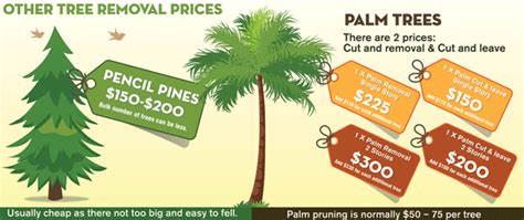 How Much Does Tree Removal Cost Prices By Trees Size