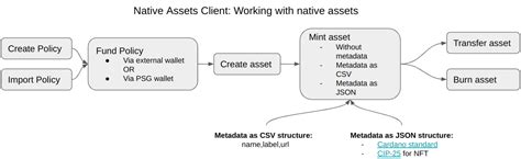 Native Assets CLI User Guide PSG Services Documentation Documentation