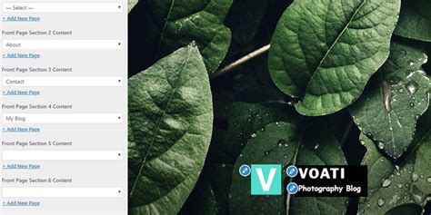 How To Make A Website With The Twenty Seventeen Theme WPKlik