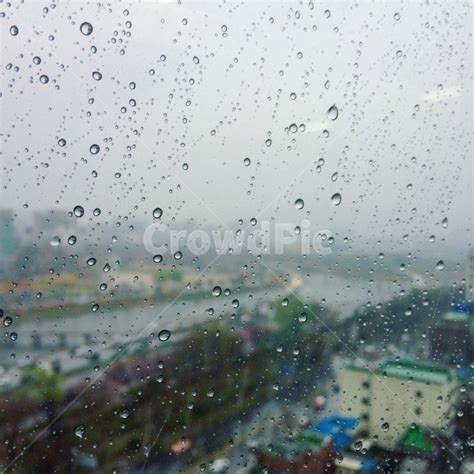 비 풍경 경치 창문 날씨 사진 이미지 일러스트 캘리그라피 뭉치아빠작가