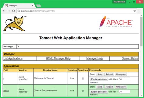 How To Install Tomcat 9 On Debian 11 10 9 TecAdmin