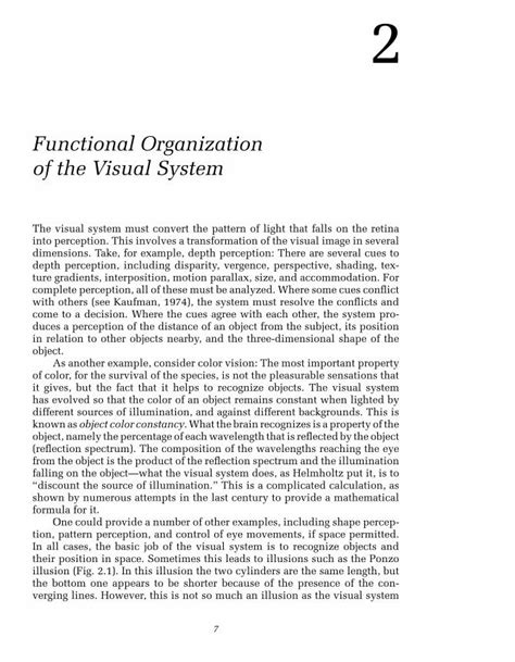 Pdf Functional Organization Of The Visual System Dokumen Tips