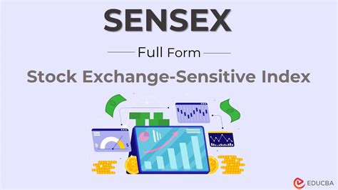 Full Form Of Senpanies List Purpose Advantages And Working