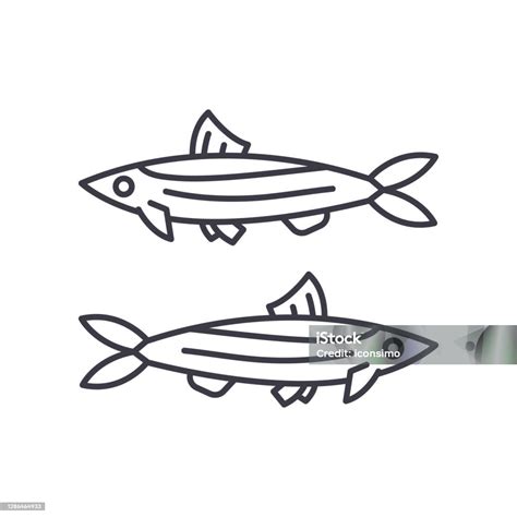 정어리 아이콘 선형 격리 된 그림 얇은 줄 벡터 웹 디자인 기호 흰색 배경에 편집 가능한 스트로크와 개요 개념 기호 개체 그룹에 대한 스톡 벡터 아트 및 기타 이미지