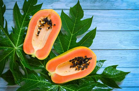 Papaya Insoluble Fiber At Victoria Jenkins Blog