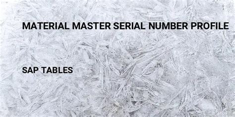 Material Master Serial Number Profile Table In Sap