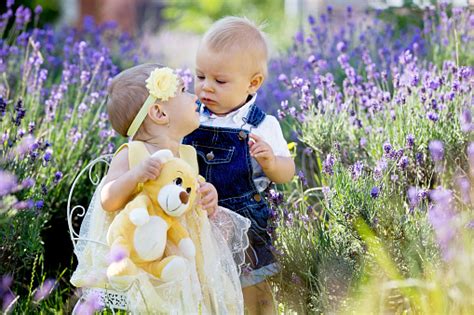 라벤더 필드에서 빈티지 의자에 앉아 행복한 미소 아기 쌍둥이 소년과 소녀 감정에 대한 스톡 사진 및 기타 이미지 감정 걷기 꽃 꽃의 구조 Istock