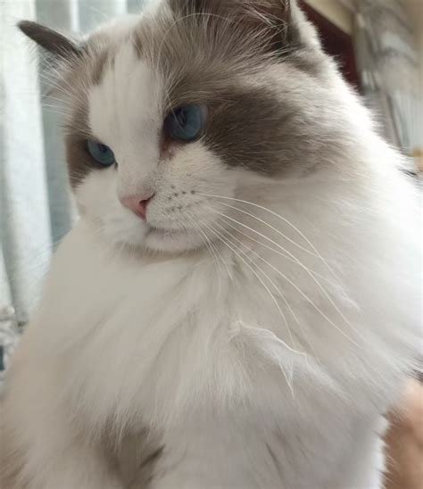 【qt开发】显示类控件（三） ＞ Qprogressbar Csdn博客