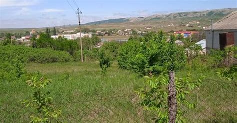 Иван знаеше че е единственият който остава за децата си и не можеше да тъгува И така съдбата