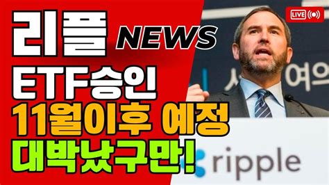 리플 11월이후 리플etf승인 확정입니다 대박났습니다 Youtube