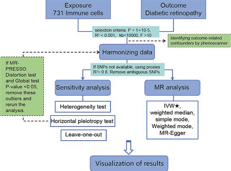 Flowchart Of Mr Design Mr Mendelian Randomization Ivw Inverse