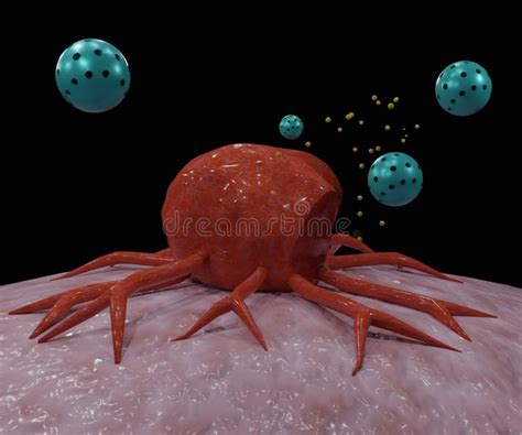Isolated Encapsulation Stock Illustrations 286 Isolated Encapsulation