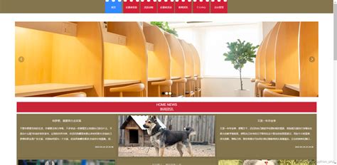 基于JAVA的流浪动物救助与领养平台系统 基于java的流浪动物救助站平台 CSDN博客