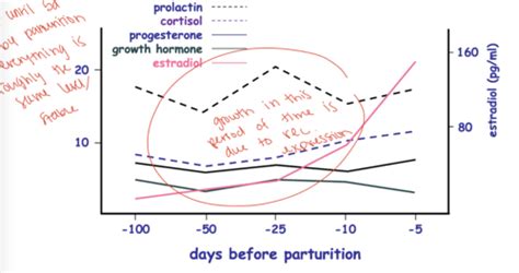Lec 41 Lactation Flashcards Quizlet