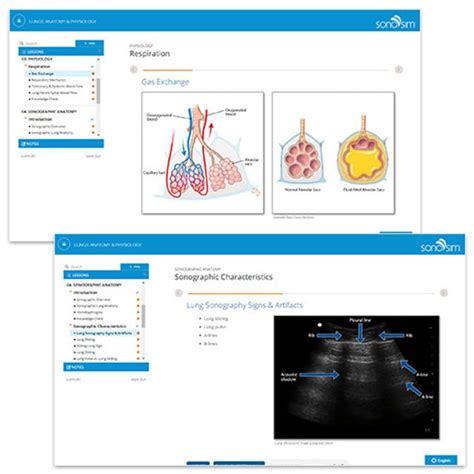 Lungs Anatomy And Physiology Ultrasound Training Sonosim