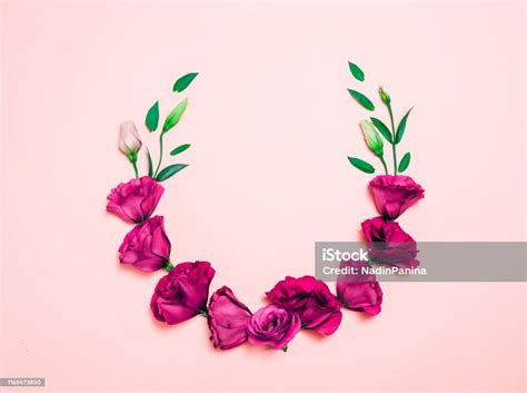 장미 분홍색 꽃 봉오리 나뭇 가지와 흰색 배경에 고립 된 잎 라운드 프레임 화환 패턴 구도에 대한 스톡 사진 및 기타 이미지 구도 기념일 꽃 나무 Istock