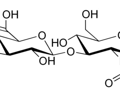 Hyaluronan Explained How This Super Substance Keeps You Healthy