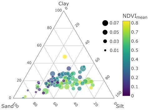 Soil Moisture Prediction From Remote Sensing Images Coupled With Climate Soil Texture And
