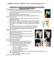 Shoulder Anatomy and Biomechanics: Key Concepts Explained | Course Hero