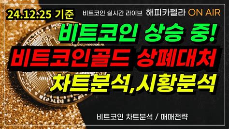 비트코인 상승 중 비트코인 골드 상장폐지 대처 차트분석시황분석 비트코인 비트코인골드 비트코인골드상장폐지 상장폐지