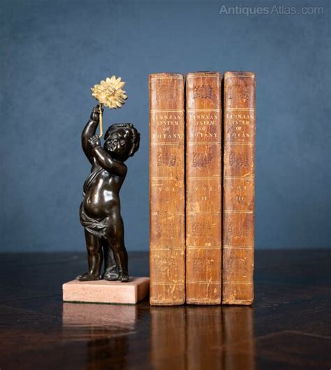 Antiques Atlas 1816 The Linnaean System Of Botany In Four Volumes