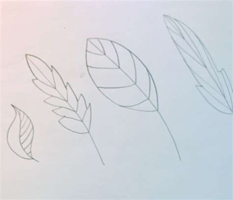 How To Draw A Leaf With Symmetry Basicdraw Com
