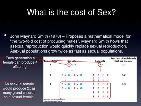 PPT What Is Sex PowerPoint Presentation Free Download ID