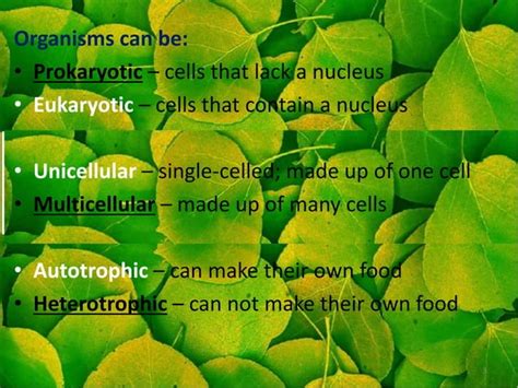 Three Domain Of Classification Ppt