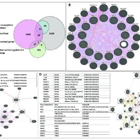 Lamin A Interactome Analysis A Venn Diagram Representing Functional Download Scientific
