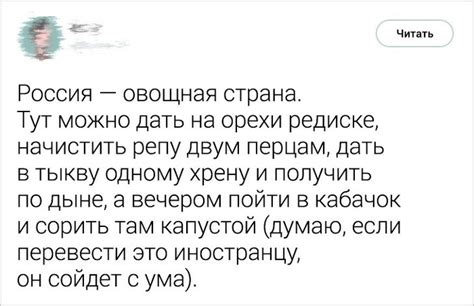 Умом Россию не понять Пикабу