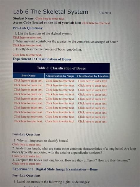 Solved Lab 6 The Skeletal System BIO 2011 Babe Name Chegg Com
