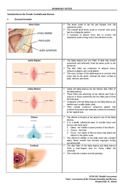 Summary Notes Introduction To Female Genitalia And Rectum Ncm 101 Health Assessment Topic