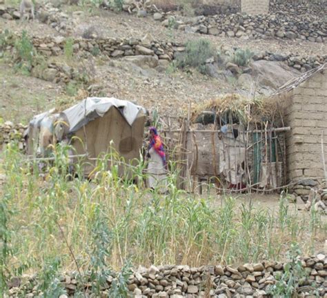 Embassy Of The State Of Eritrea In Sweden Eritrean Embassy Stockholm