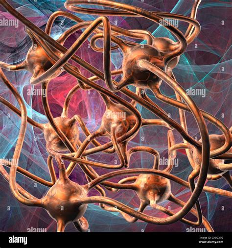 Neural Network Conceptual Image Computer Illustration Representing Interconnecting Nerve Cells