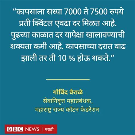 कापसाचे भाव पुढच्या काही दिवसांत वाढतील का शेतकऱ्यांनी काय म्हटलं Bbc News मराठी