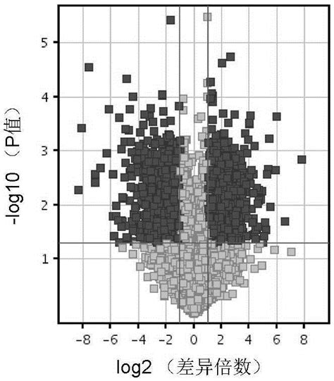 Long Chain Non Coding RNA Ribonucleic Acid LncRNA CRNN And Application Thereof Eureka Patsnap