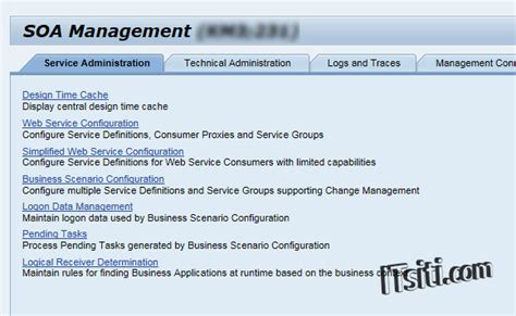 Troubleshooting Transaction Soamanager Does Not Work