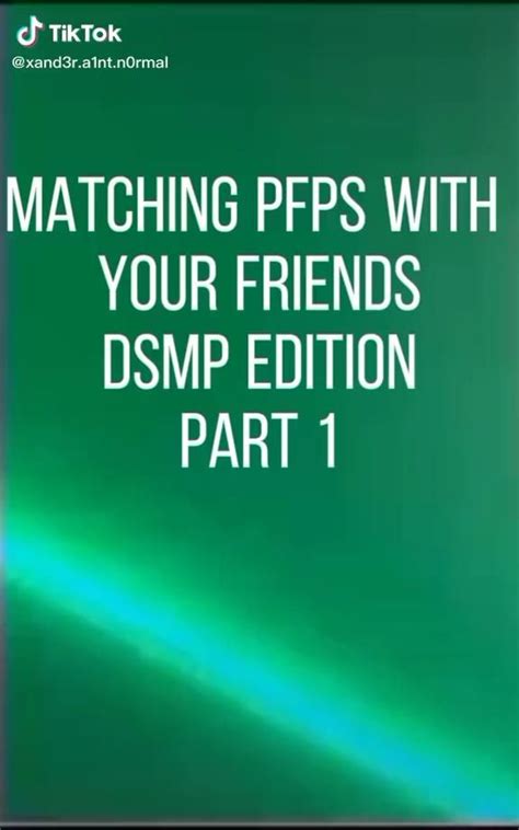 Dsmp Pfp Video Fan Art Minecraft Fan Art Dream Team