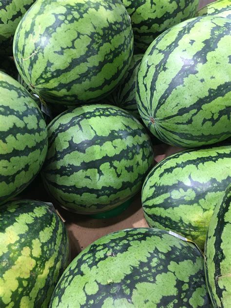 수박 Watermelon Fruit Summer 과일 여름 녹색 초록 Green Food 음식 초록 녹색 음식