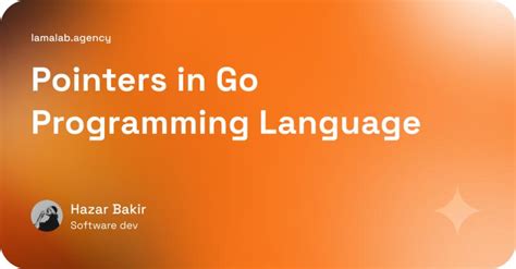 Lama Lab On Linkedin Pointers In Go Programming Language